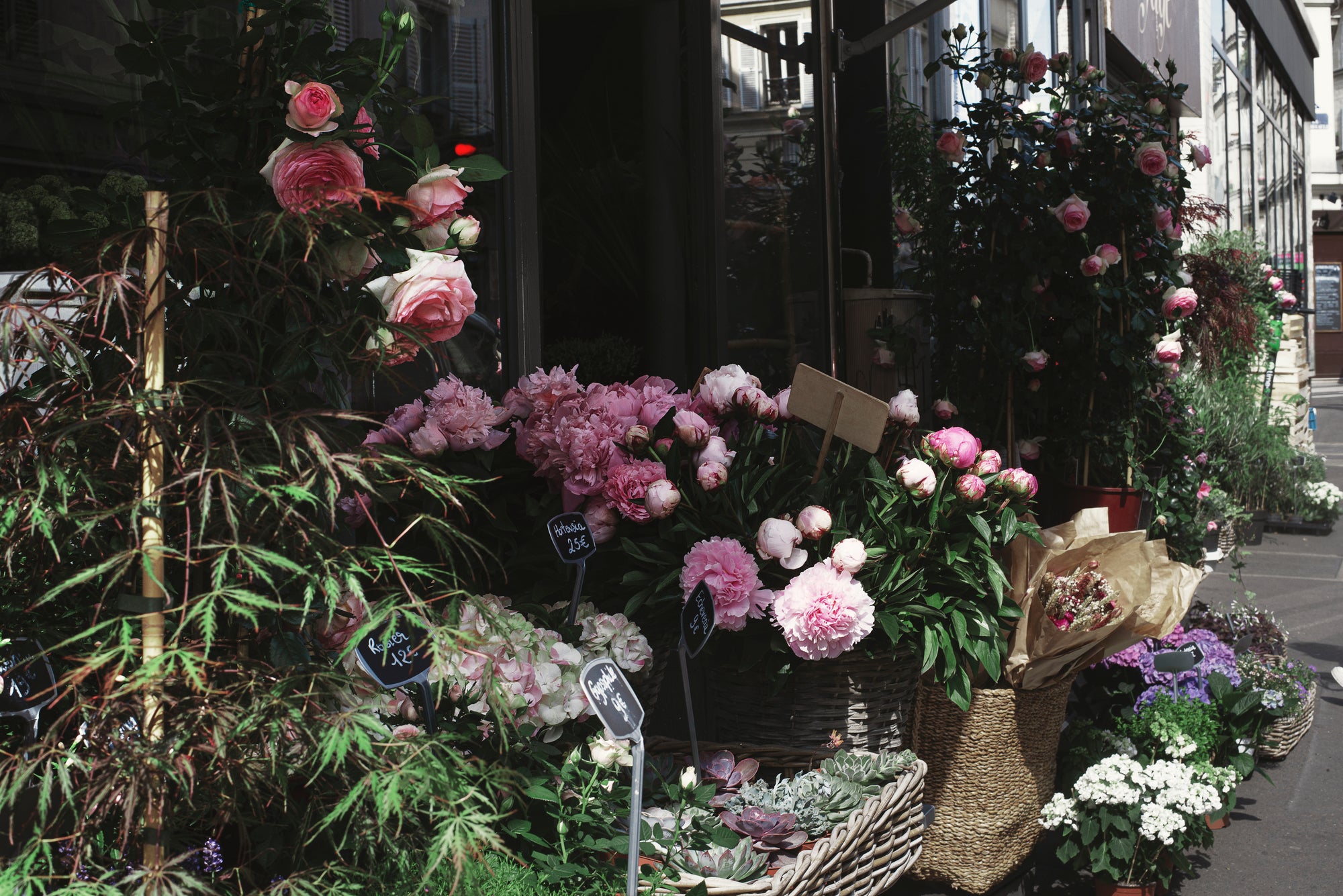 Gorgeous and Beautiful - Your Toronto Flower Shop – Gorgeous and ...